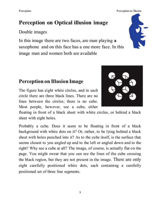 Perception | PDF