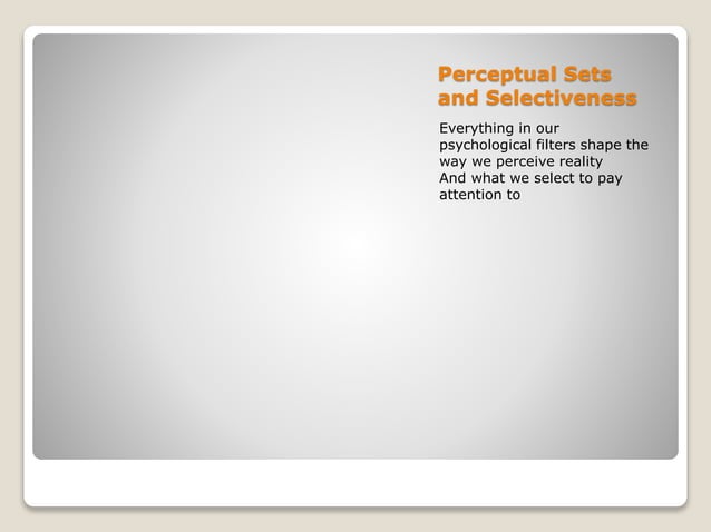 Perception | PPT