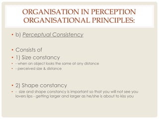 Perception. | PPT