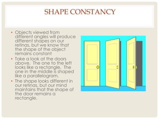 Definition Of Shape Constancy