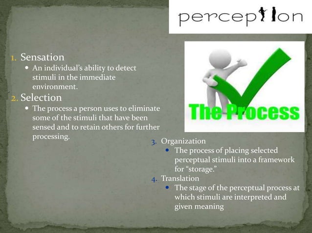 Perception | PPT
