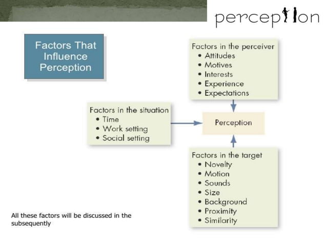 Perception | PPT