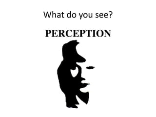 Perception | PPTX