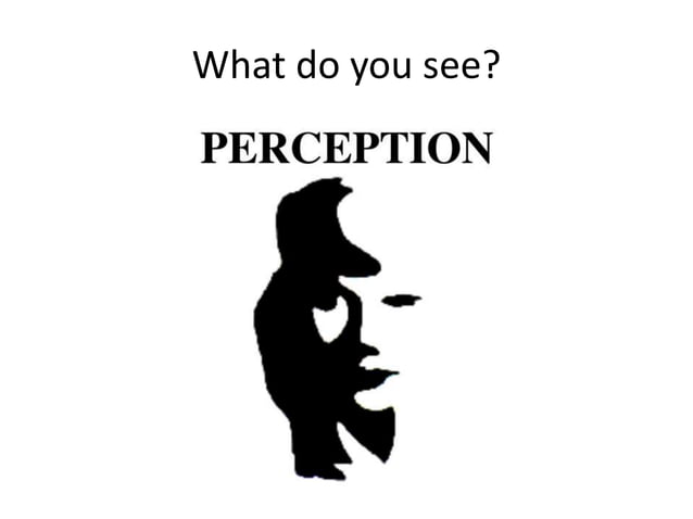 Perception | PPTX