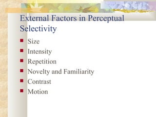 Perception | PPT