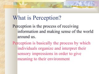 Perception | PPT