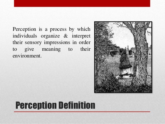 Perception Meaning