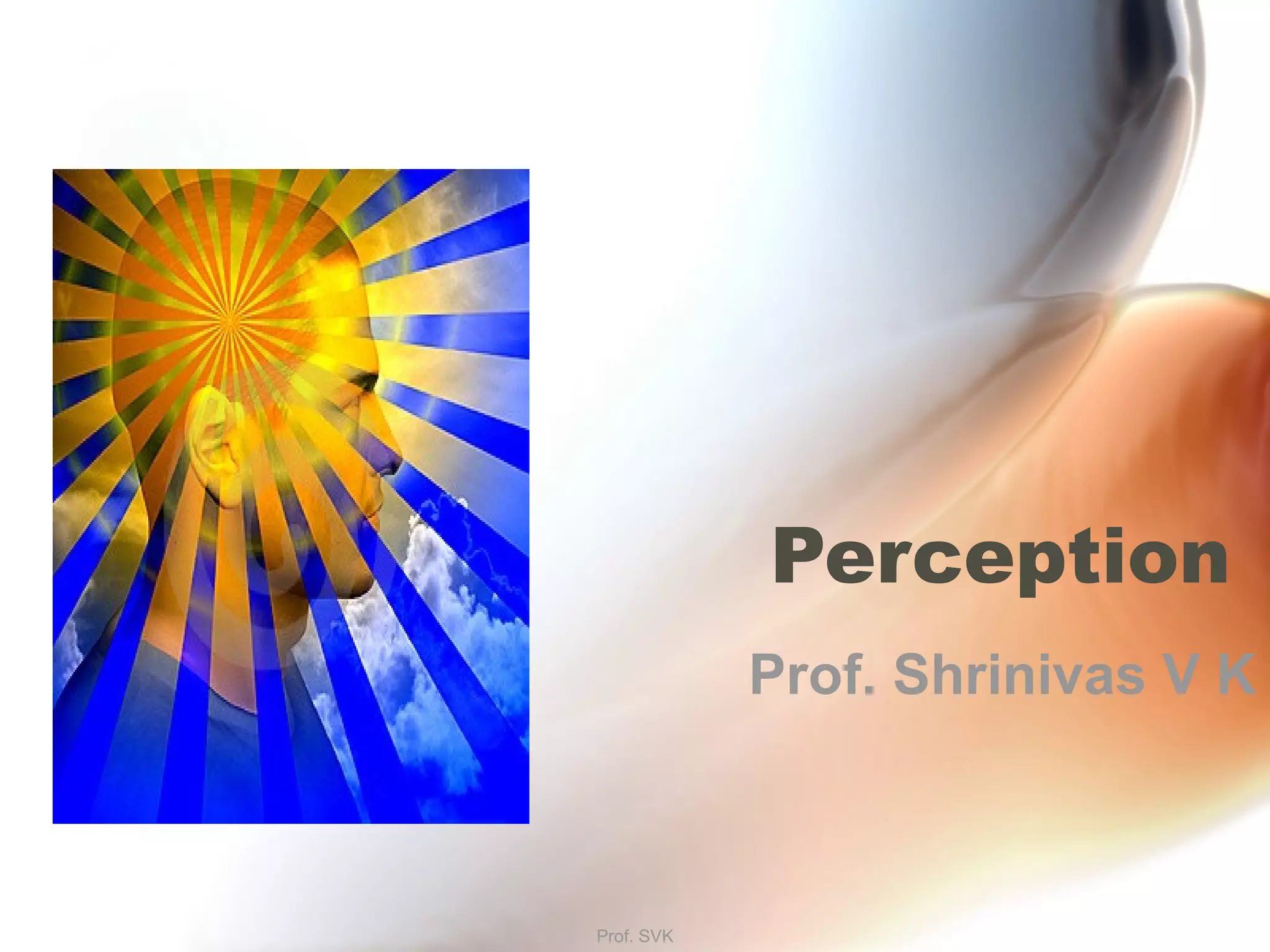 Perception Organisational Behavior Ppt