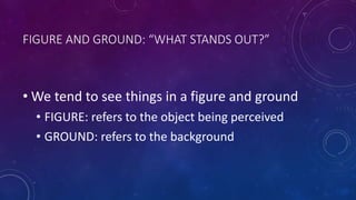 Perception - Psychology | PPTX