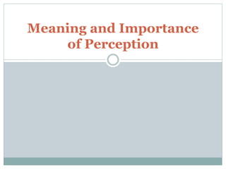 PERCEPTION | PPT