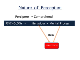 Perception | PPTX