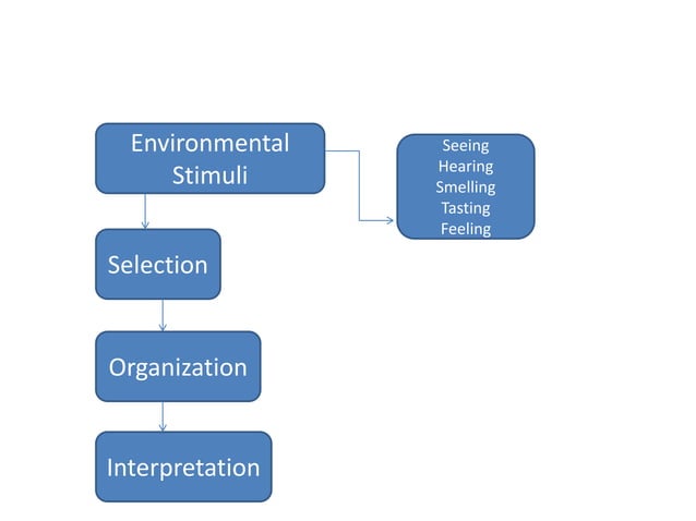 Perception | PPTX | Careers