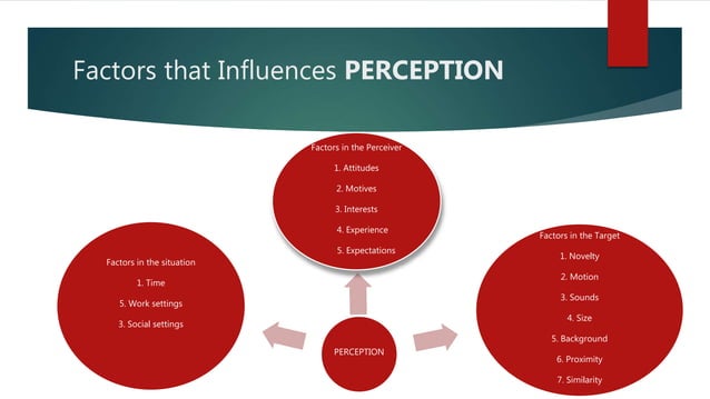 Organizational Behavior : Perception | PPTX | Science