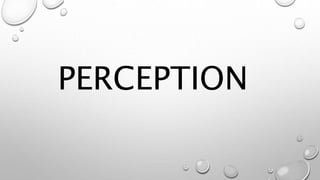Perception in organsation behaviour | PPT