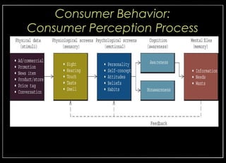 Perception on Advertisement | PPT | Marketing and Advertising | Business