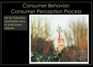 Perception on Advertisement | PPT | Marketing and Advertising | Business