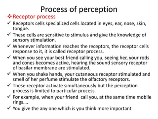 Perception | PPTX