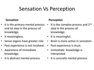 Perception | PPT | Free Download