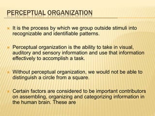 Perception | PPT
