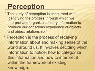 Perception | PPTX
