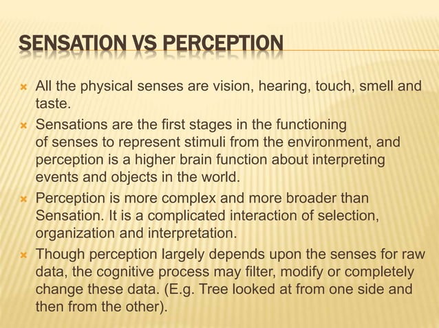 Perception | PPTX