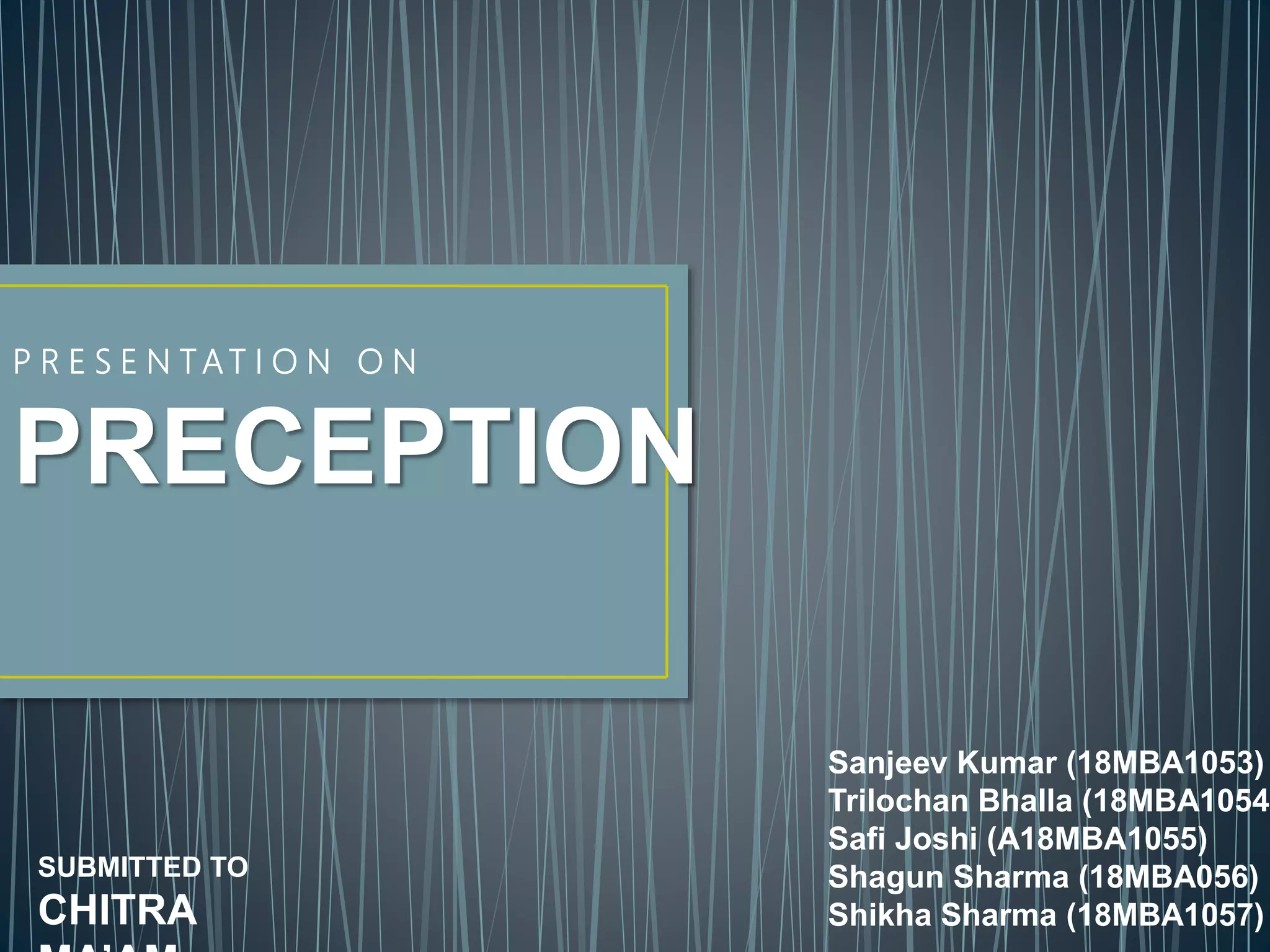 Perception in Organizational Behaviour | PPTX