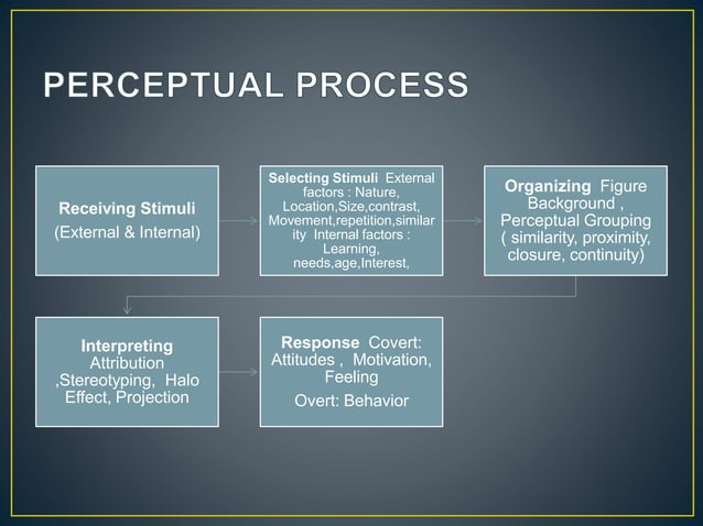 Perception in Organizational Behaviour