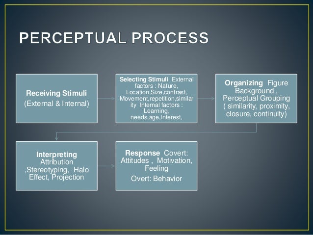 Perception in Organizational Behaviour