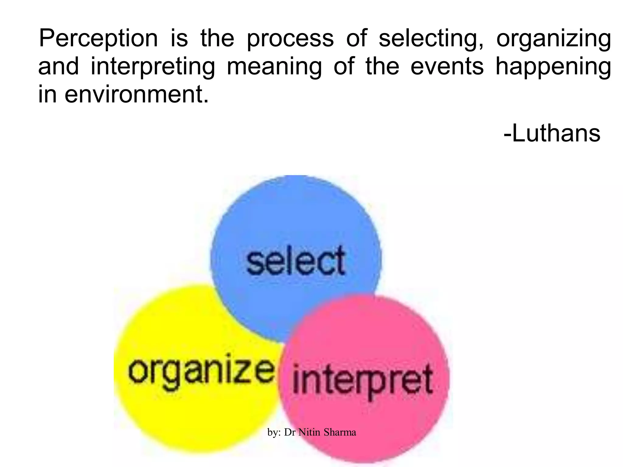 Organizational Behaviour : Perception | PDF