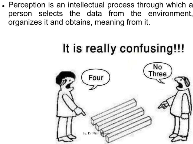 Organizational Behaviour : Perception | PDF