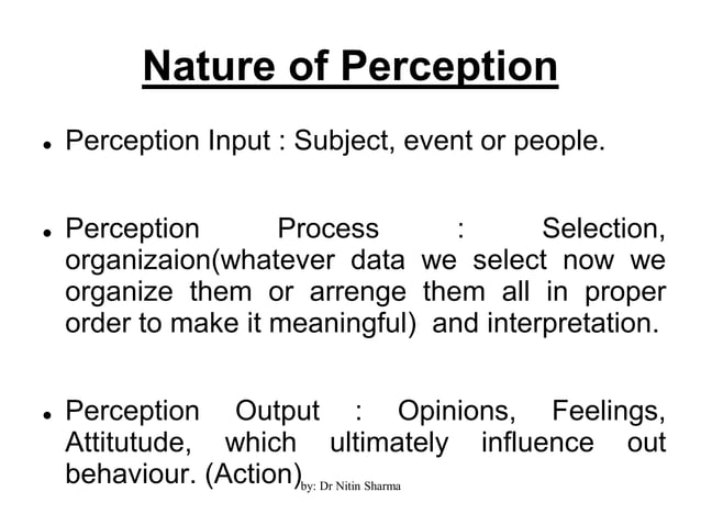 Organizational Behaviour : Perception | PDF