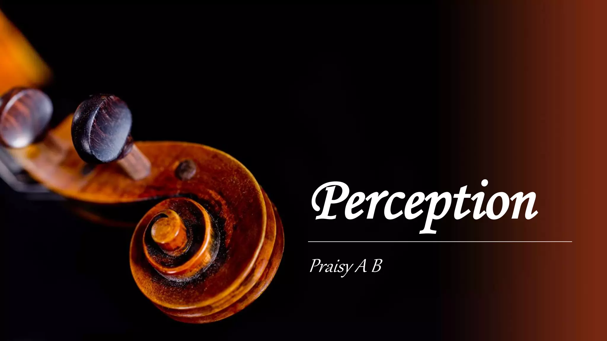 Perception. | PPTX
