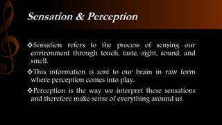 Perception. | PPTX