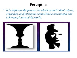 Perception | PPT