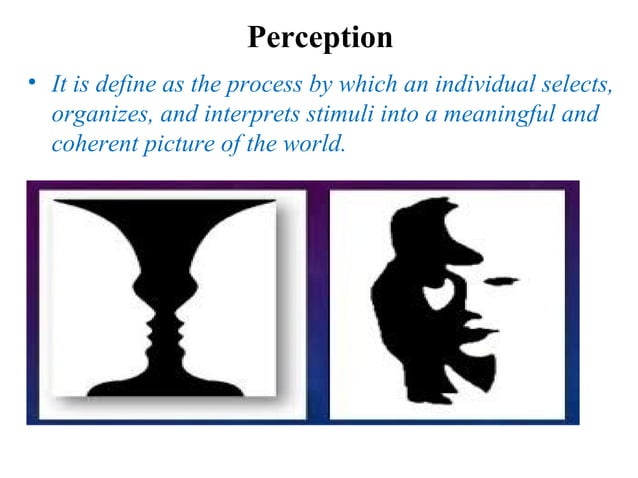 Perception | PPT