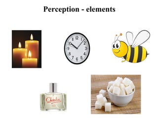 Perception | PPT