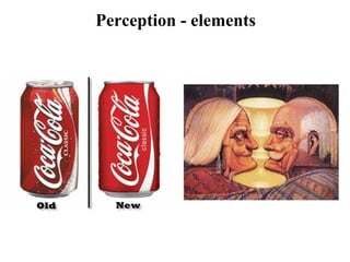 Perception | PPT