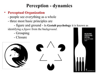 Perception | PPT