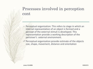 PERCEPTION | PPT