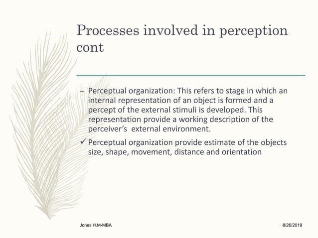 PERCEPTION | PPT