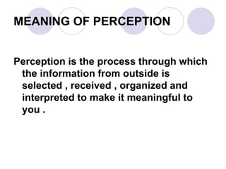 Perception | PPT