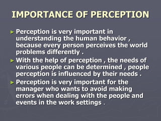 Perception | PPT