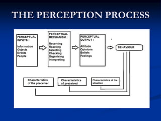 Perception | PPT