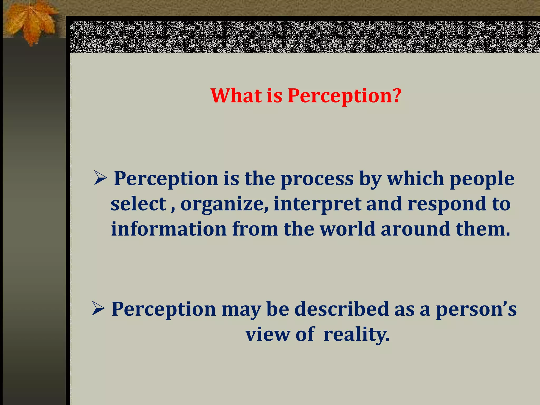 Features of Perception | PPTX