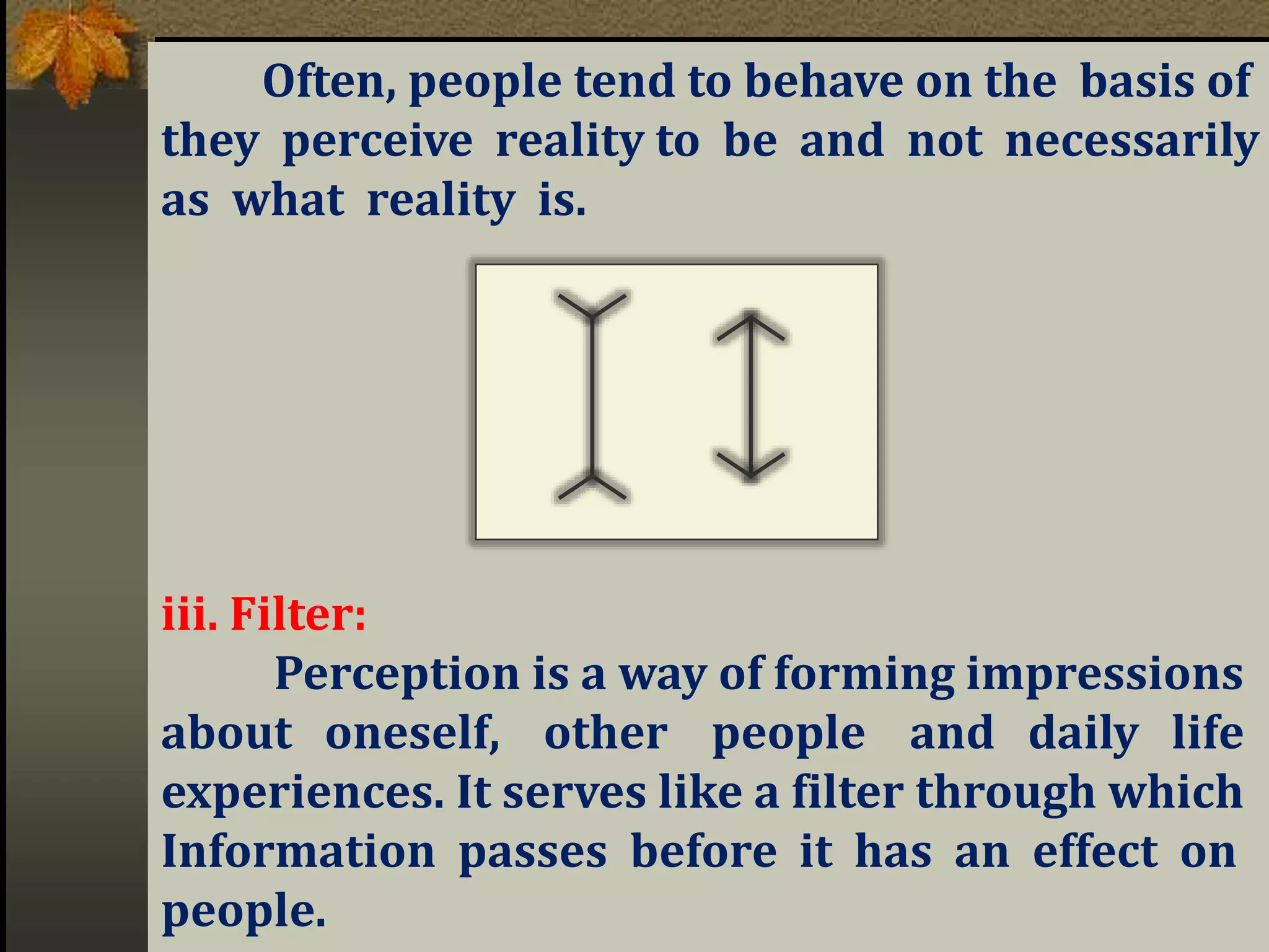 Features of Perception | PPTX