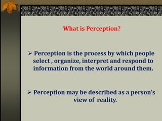 Features of Perception | PPTX