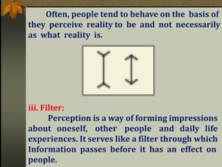 Features of Perception | PPTX