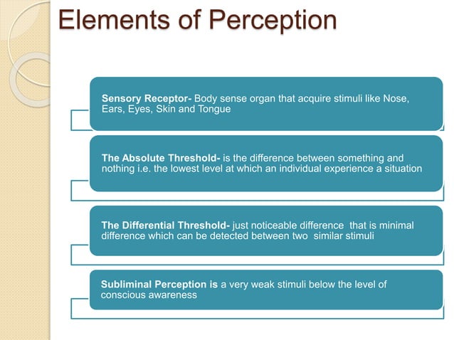 Presentation on Perception - Organisation Behavior | PPTX