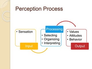 Presentation on Perception - Organisation Behavior | PPTX