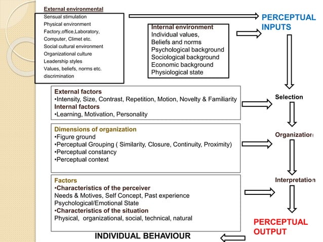 Presentation on Perception - Organisation Behavior | PPTX